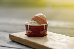 Droom ijs! | Van Munster Media Factory